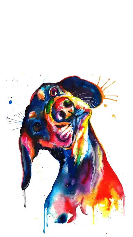 Dog paint