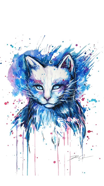 Cat paint