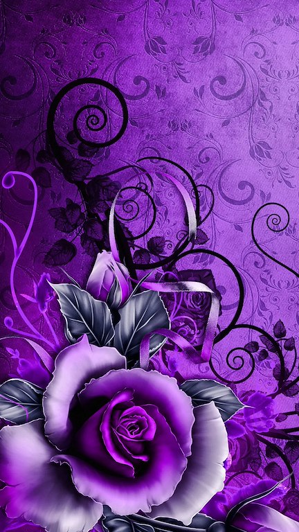 Purple roses