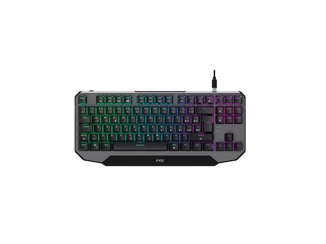 TAST MS ELITE C905 US gaming