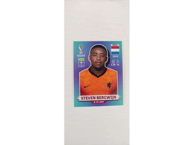 Panini FIFA 2022 international Qatar NED16