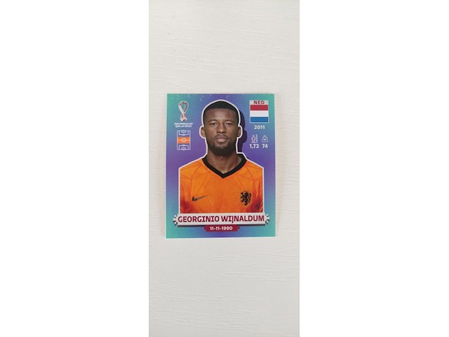 Panini FIFA 2022 international Qatar NED15