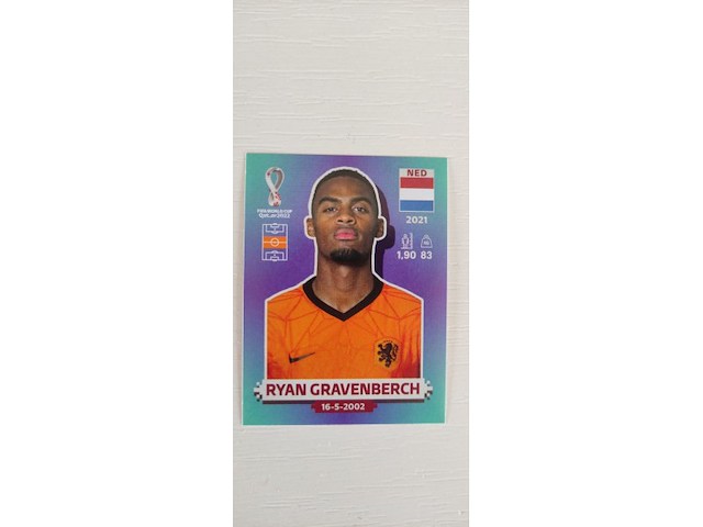 Panini FIFA 2022 international Qatar NED12