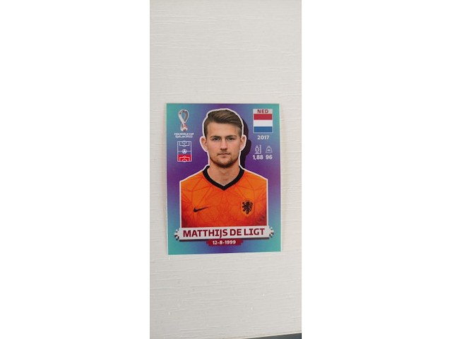 Panini FIFA 2022 international Qatar NED06