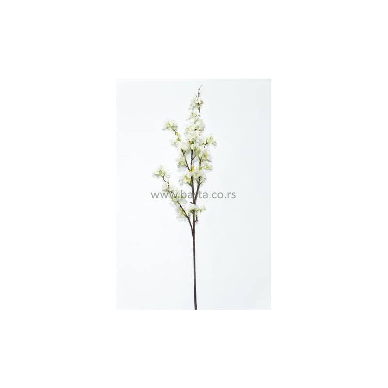Veš.grana cvetna višnja -115,bela 99