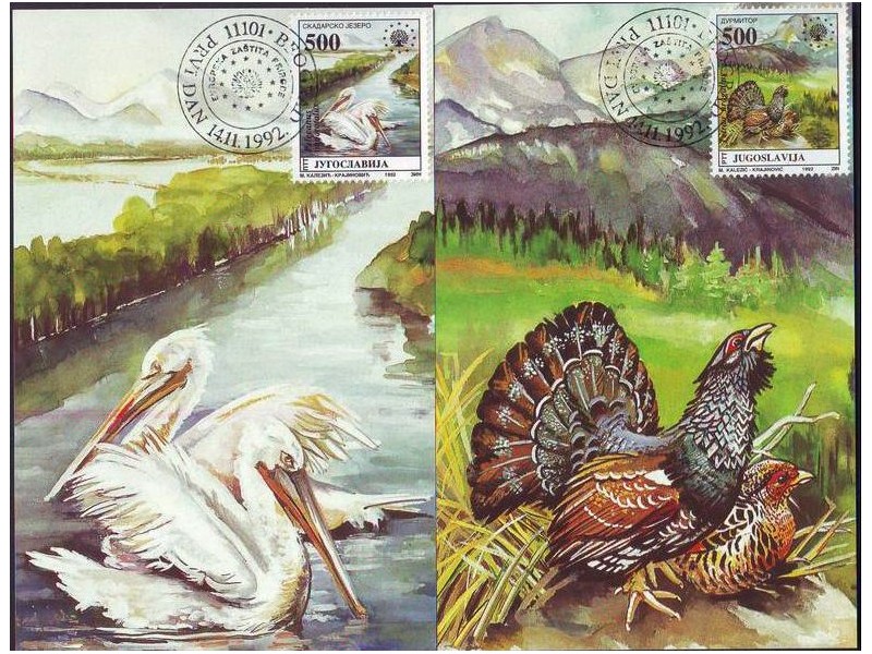 Jugoslavija 1992 Zaštita prirode carte maximum CM