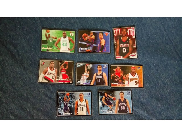 Slicice NBA 2009 2010 (Panini)