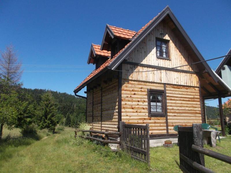 Brvnara na brdu Srbija, Planina Tara