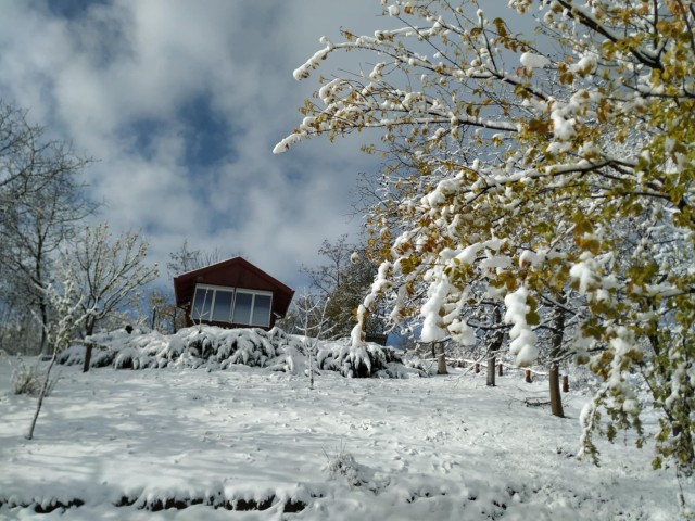 Apartmani, Banja Vrdnik