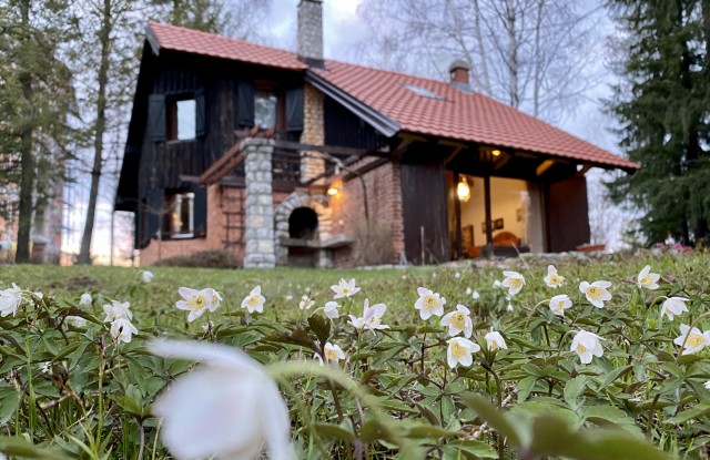 Vikendica, Zlatibor