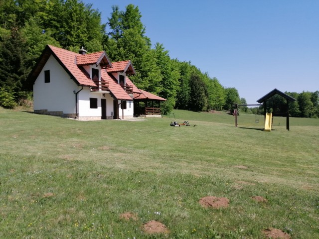 Apartmani, Osluša, Tara