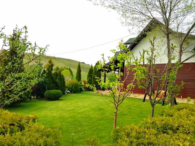 Apartmani, Zlatibor