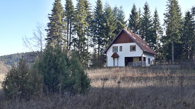 Apartmani, Mitrovac, Tara