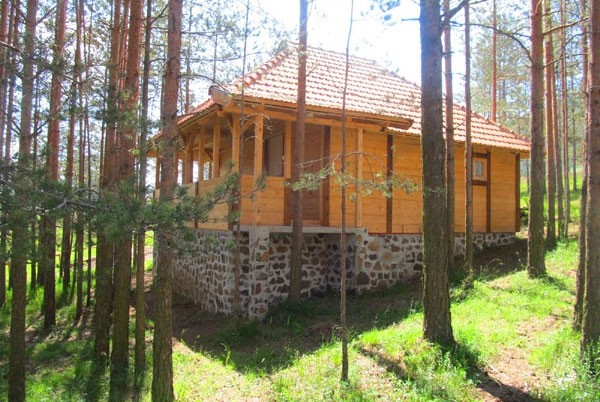 Brvnare i vajati, Zlatibor