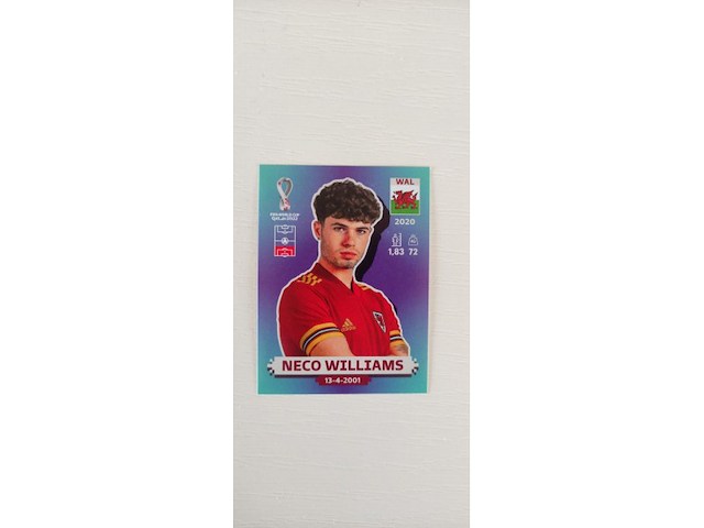 Panini FIFA 2022 international Qatar WAL11