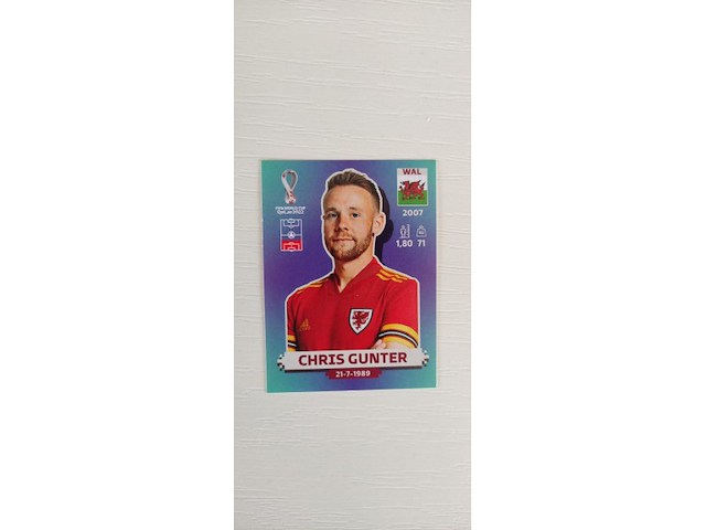 Panini FIFA 2022 international Qatar WAL07