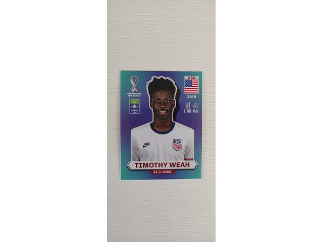 Panini FIFA 2022 international Qatar USA20