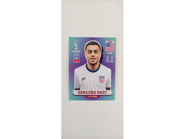 Panini FIFA 2022 international Qatar USA05