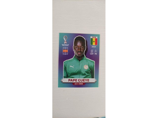 Panini FIFA 2022 international Qatar SEN13