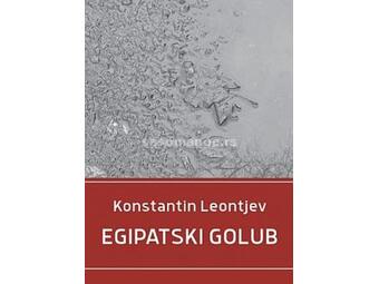 Egipatski golub