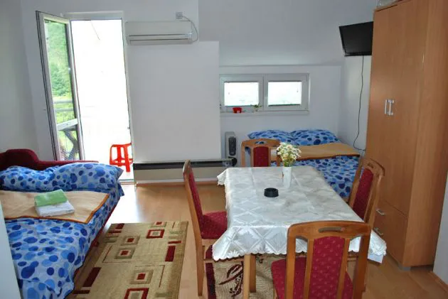 Studio Apartman Anita