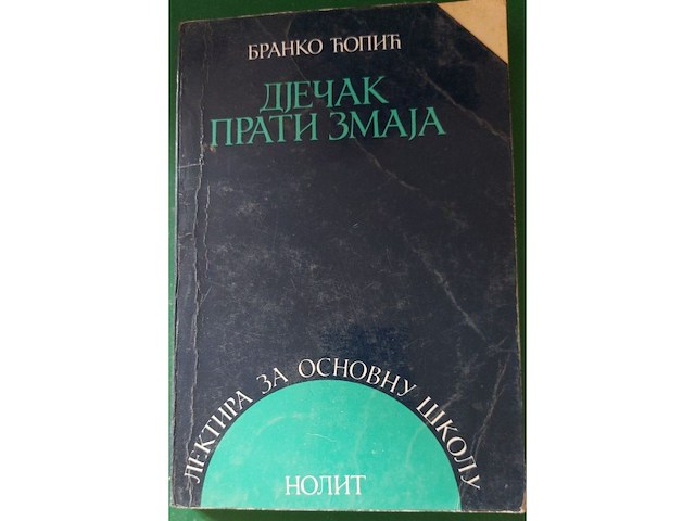 Dečak  prati zmaja