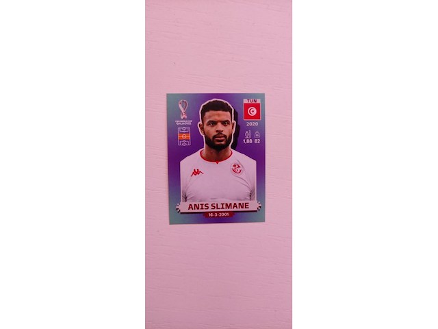 Panini FIFA 2022 international Qatar TUN17