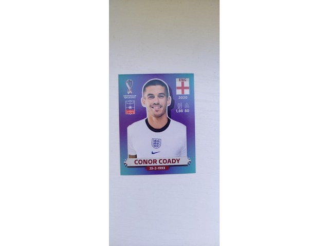 Panini FIFA 2022 international Qatar ENG06