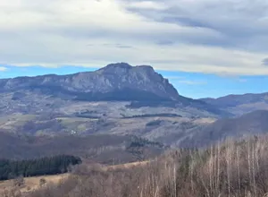 Prodaja Plac - Ivanjica, Kušići