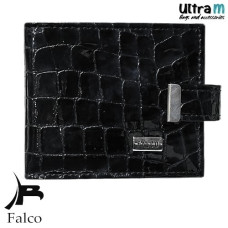 Falco House 3309-11