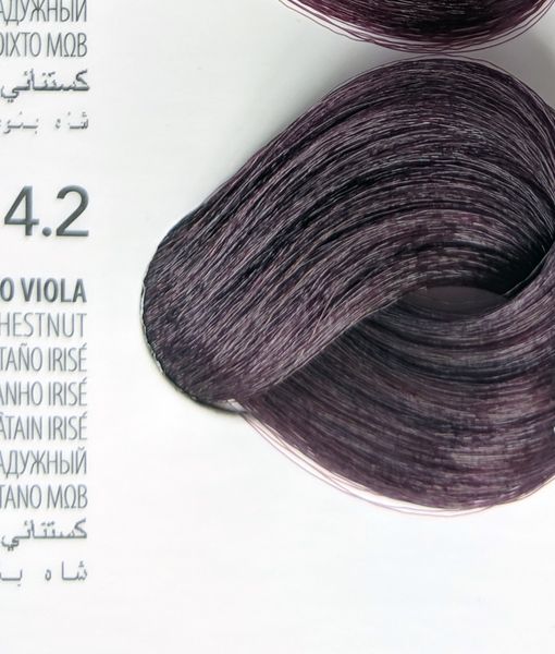 TEAM155 01 Color 4.2 Violet kesten farba za kosu 100ml