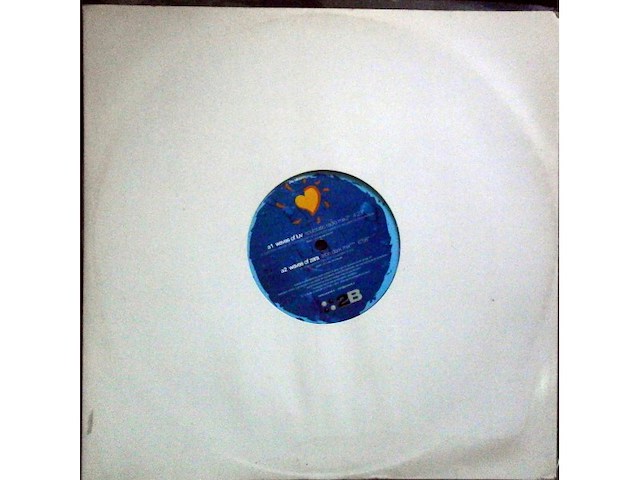 2 Black-Waves Of Luv 12` (VG+,Italian House,2004)