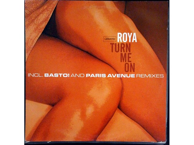 Roya-Turn Me On 12` (VG+,Belgian House,2005)