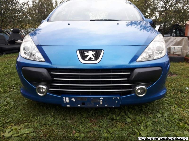 Peugeot 307 Trap I Vesanje