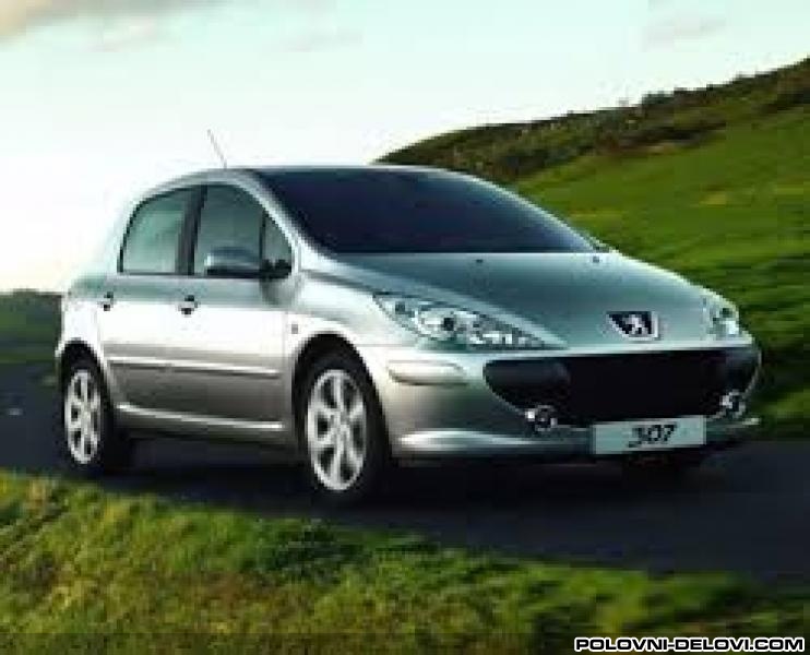 Peugeot 307 Benzin. Disel Izduvni Sistem