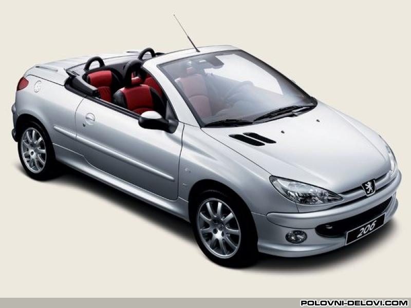 Peugeot 206 CC Benzin. Disel Filteri