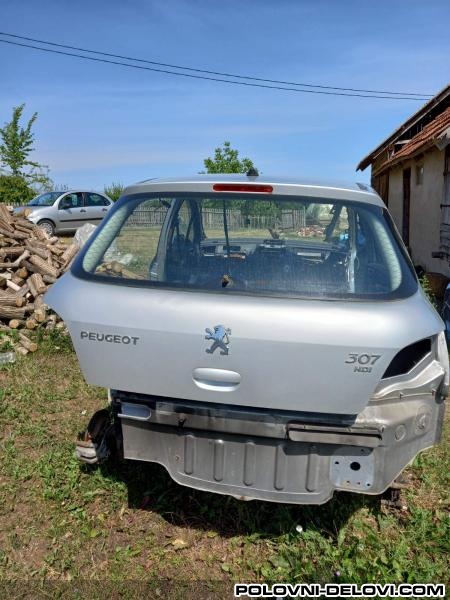 Peugeot 307 Hdi Karoserija