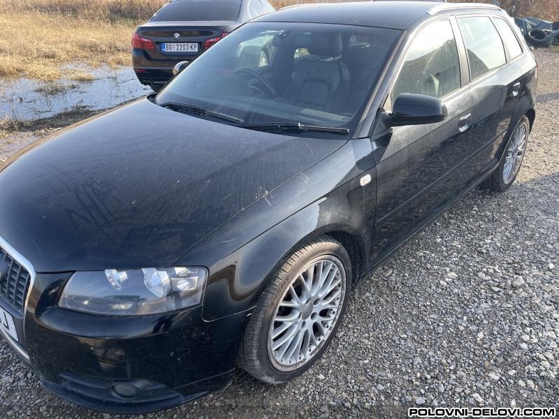 Audi A3 8p Razni Delovi