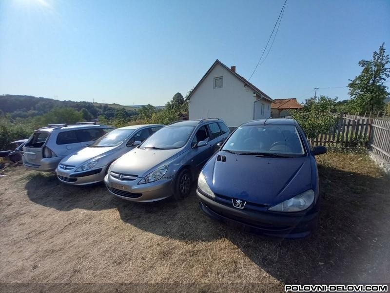 Peugeot 307 1.4 2.0 Hdi 1.1 1.4 Kompletan Auto U Delovima