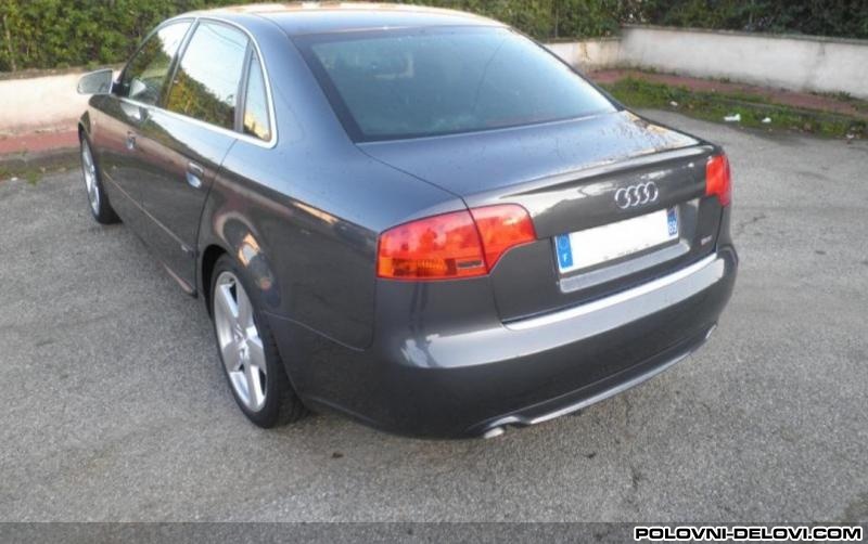 Audi A4 B7 Trap I Vesanje