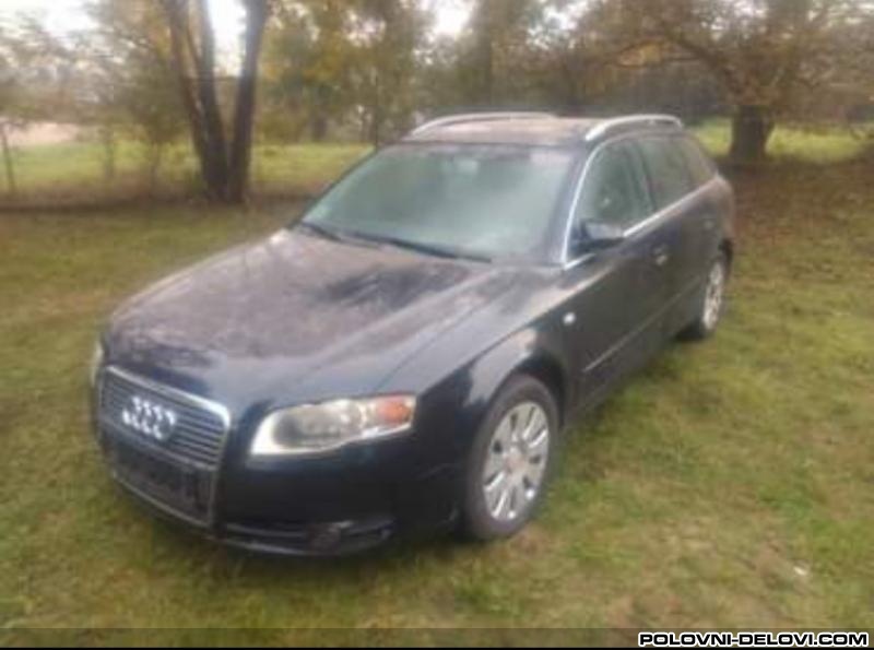 Audi A4 A4 B7 2.0tdi Kompletan Auto U Delovima