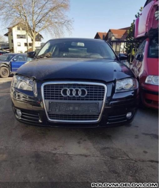 Audi A3 8p Trap I Vesanje