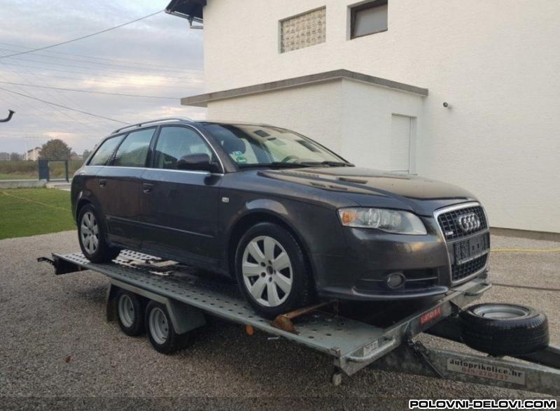 Audi A3 8p Sport Back Trap I Vesanje