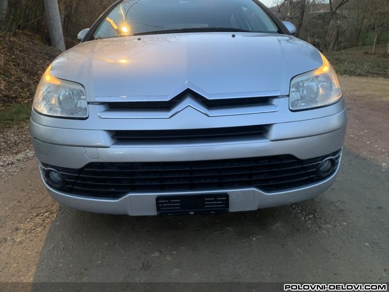 Citroen C4 Maglenke Svetla I Signalizacija