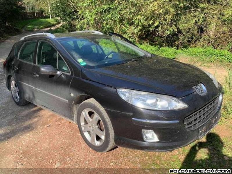 Peugeot 407 Poluosovina Trap I Vesanje