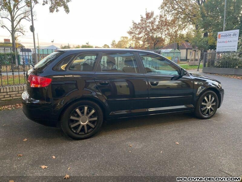 Audi A3 8p Trap I Vesanje