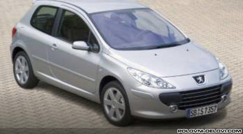 Peugeot 307 Filteri