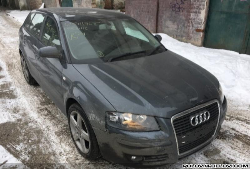 Audi A3 8p Trap I Vesanje