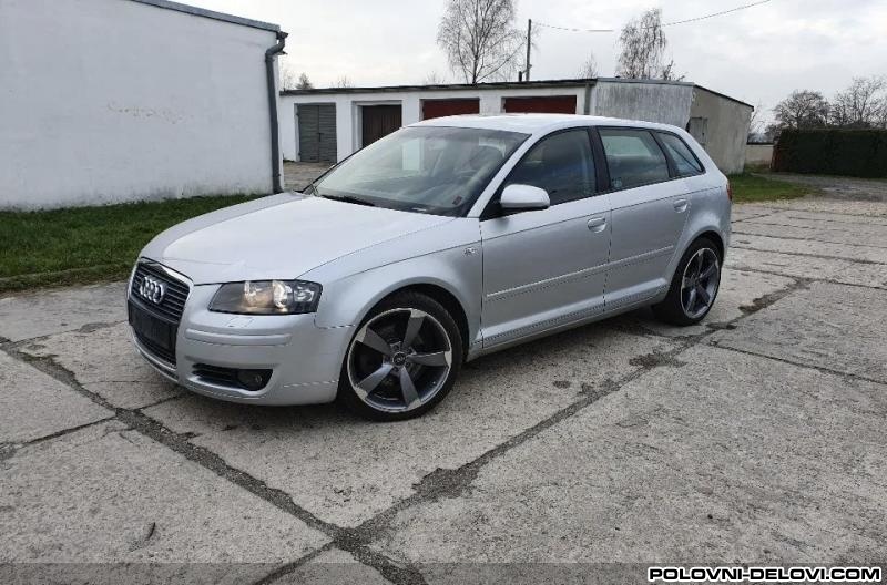 Audi A3 8p Sport Trap I Vesanje