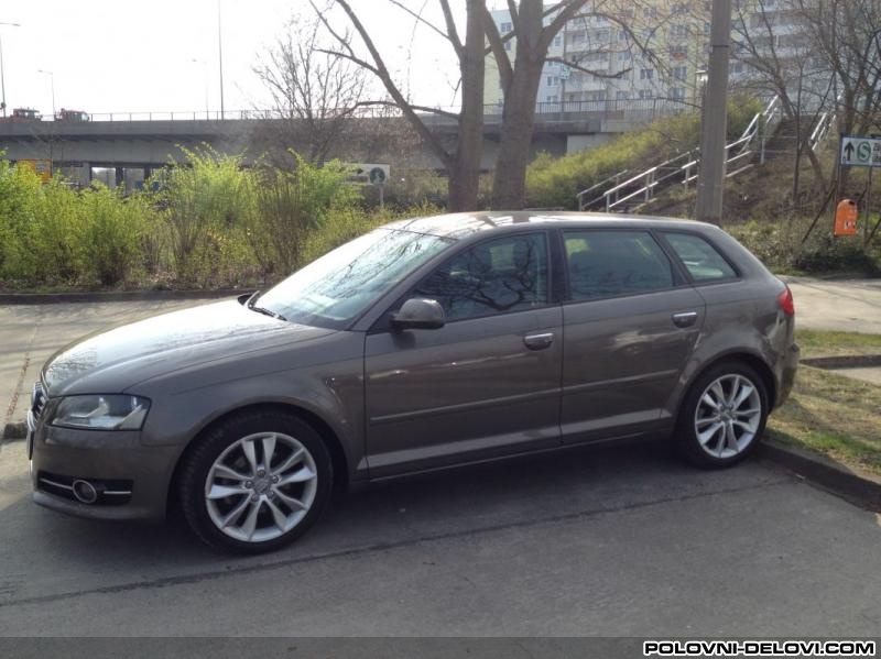 Audi A3 8p Svetla I Signalizacija